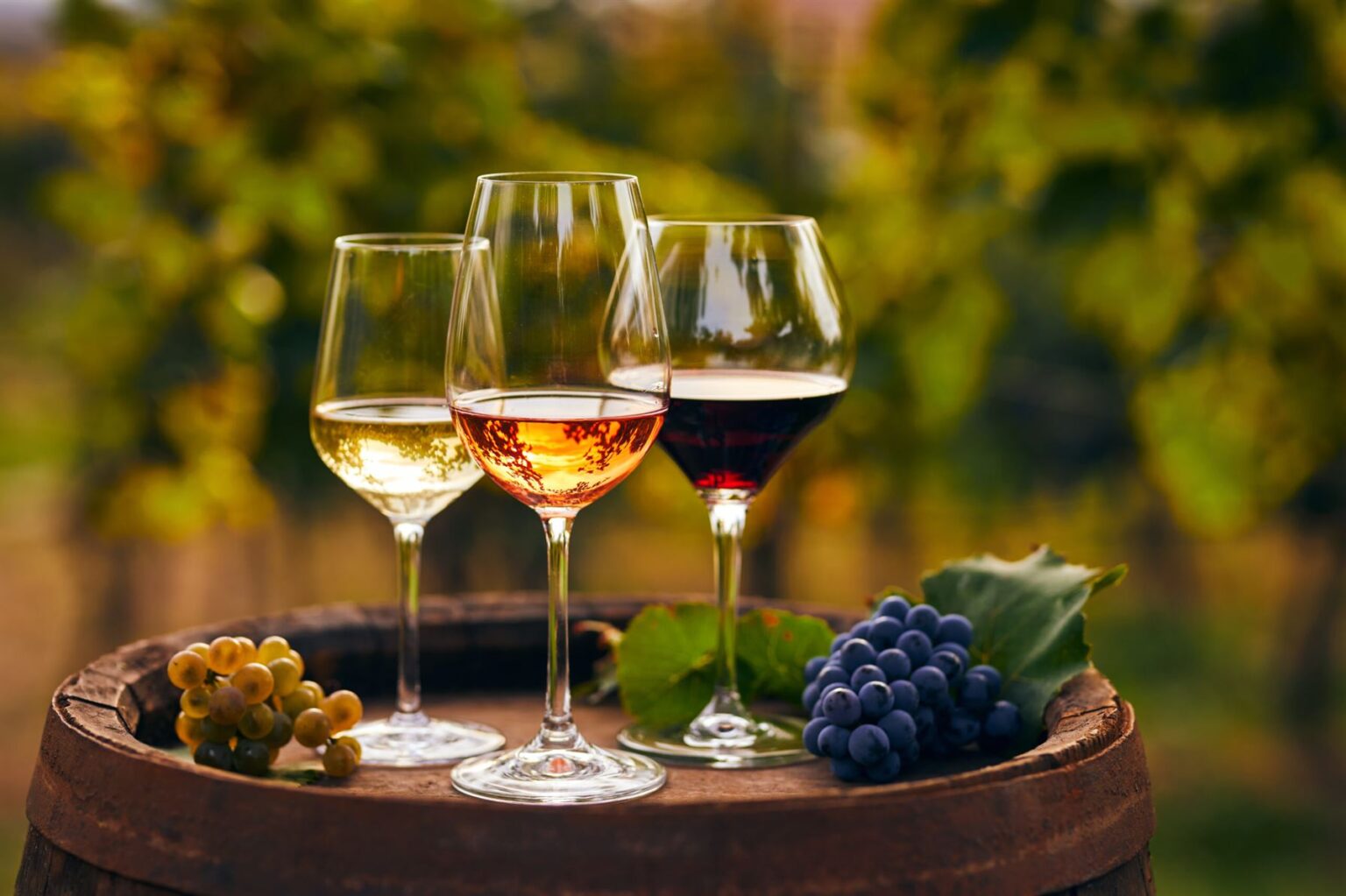 From Vineyard to Glass: Understanding the Wine Production Process