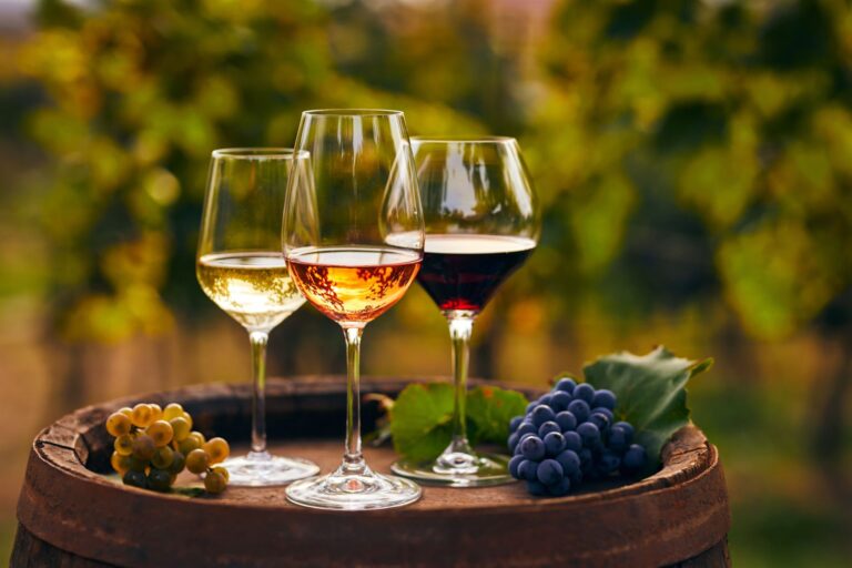 From Vineyard to Glass: Understanding the Wine Production Process